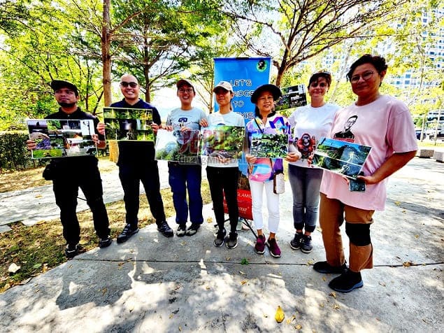 Helping wildlife cross the road safely Installing a canopy bridge on ...
